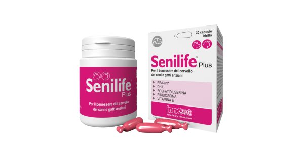 SENILIFE Plus 30 Capsule